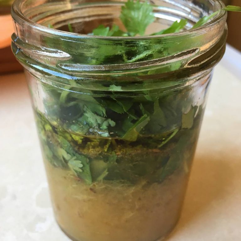 Vinaigrette: Citrus, Cumin and Cilantro – Delicious Life